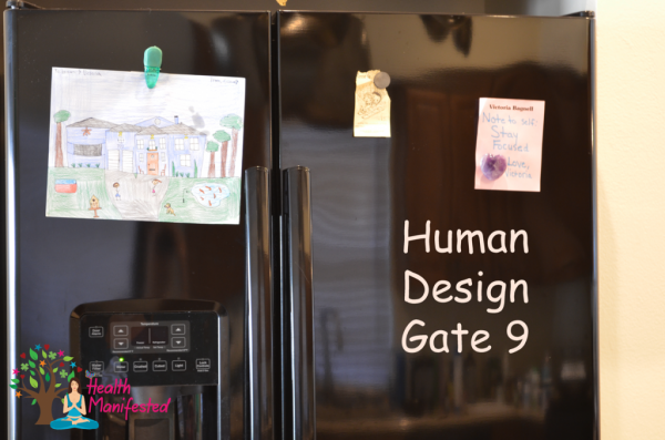 Human Design Gate 9