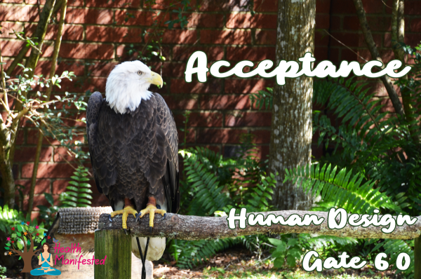 Human Design Gate 60