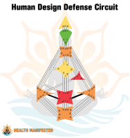 Human Design Circuitry - Health Manifested