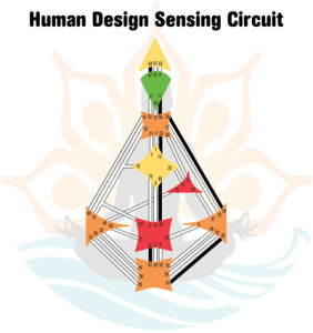 Human Design Circuitry - Health Manifested