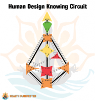 Human Design Circuitry - Health Manifested