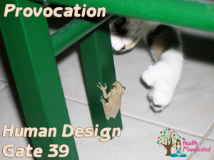 Human Design Gate 39 - Health Manifested