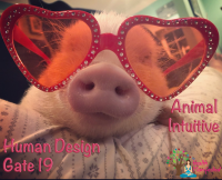 Human Design Gate 19 - Health Manifested