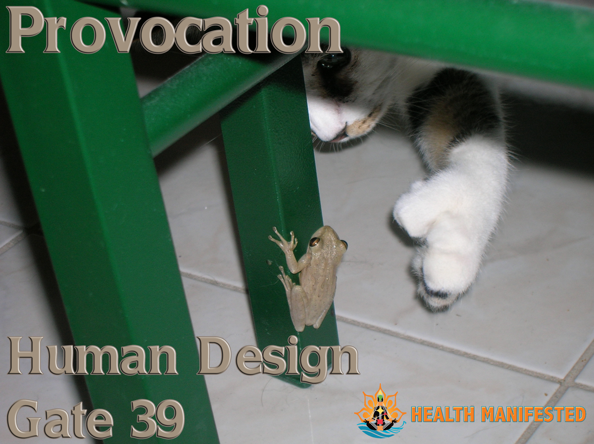 Human Design Gate 39 - Health Manifested