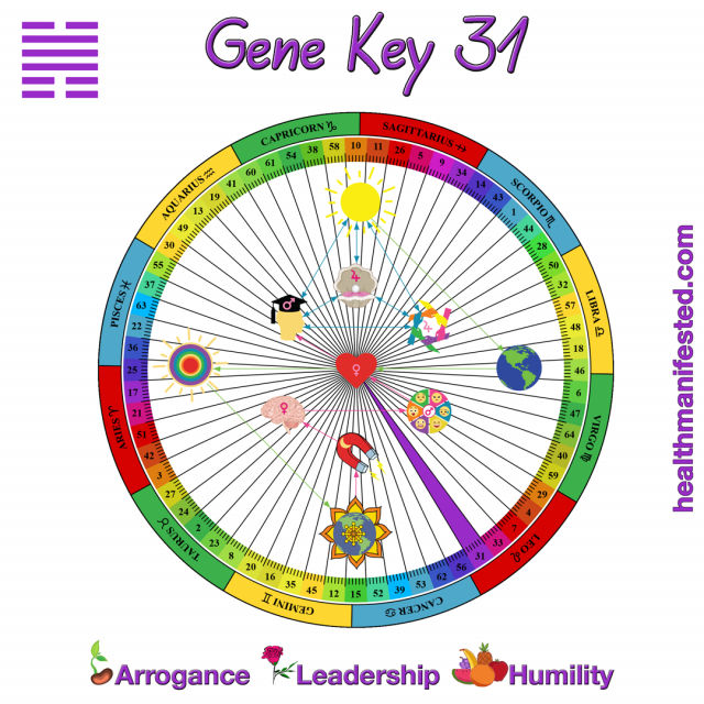 Gene Keys Basics - Health Manifested