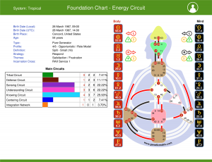 Human Design Circuitry Chart - Health Manifested