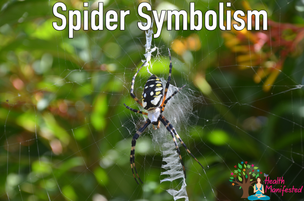 Spider Symbolism - Health Manifested